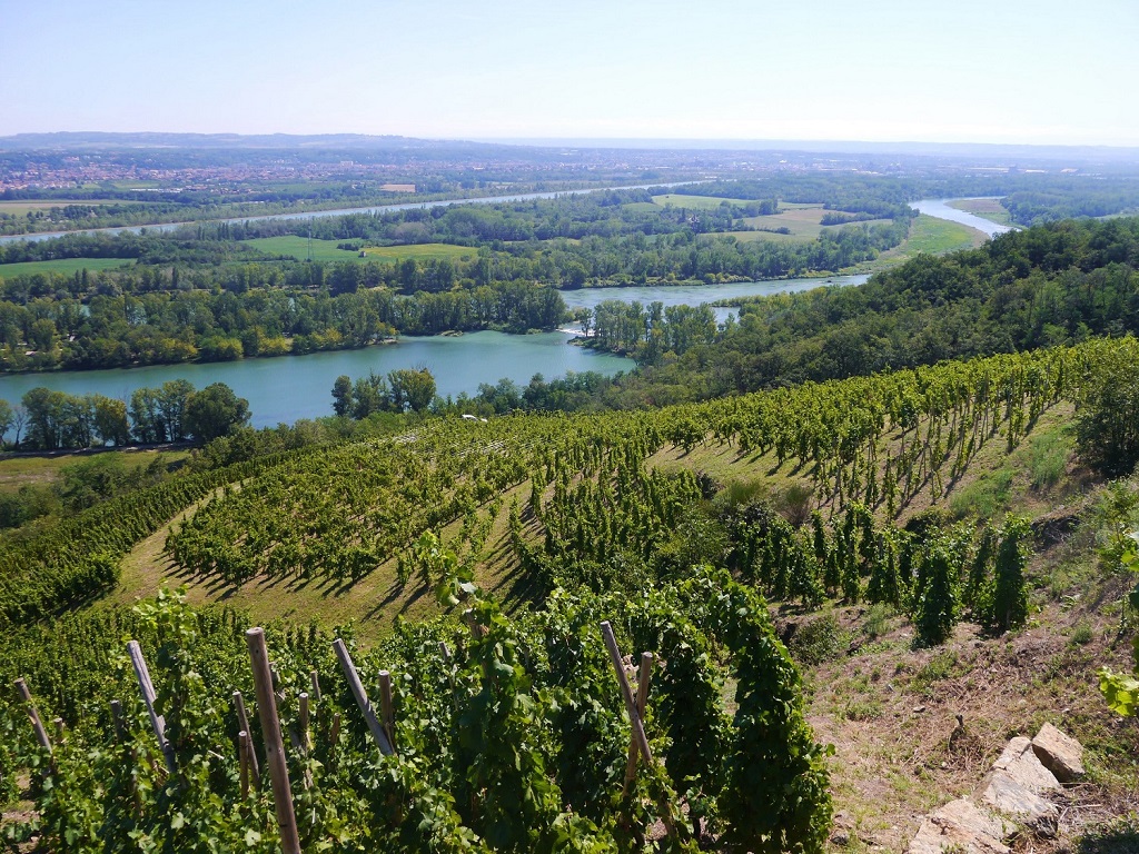 Domaine François Villard